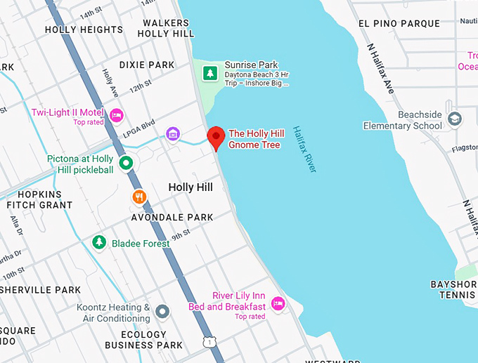 16. the holly hill gnome tree map