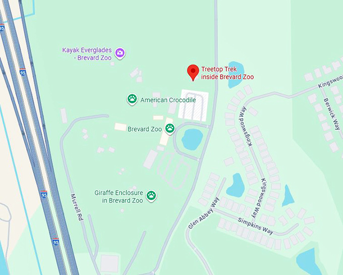 16. treetop trek inside brevard zoo map