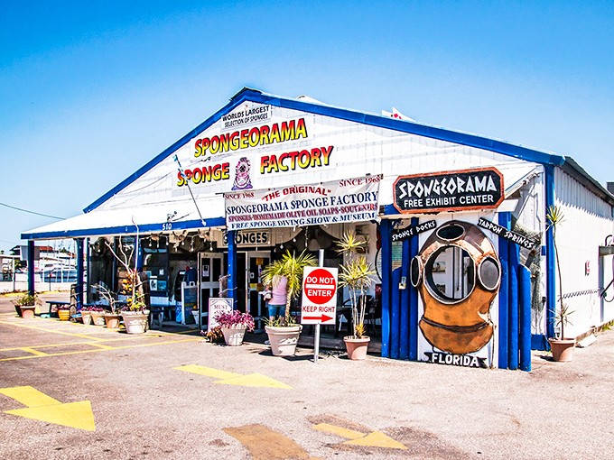 The bright blue building practically shouts "come explore!" from across the parking lot in sunny Tarpon Springs.