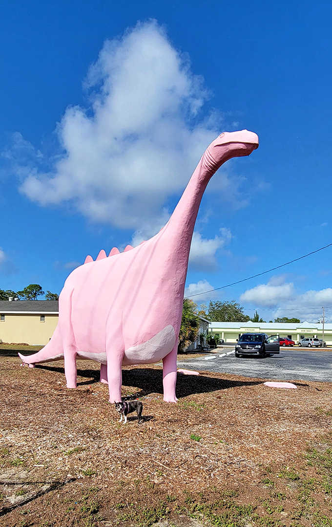 This cotton-candy colored giant has been stopping traffic for years. Small dog for scale makes the dino look even more massive!
