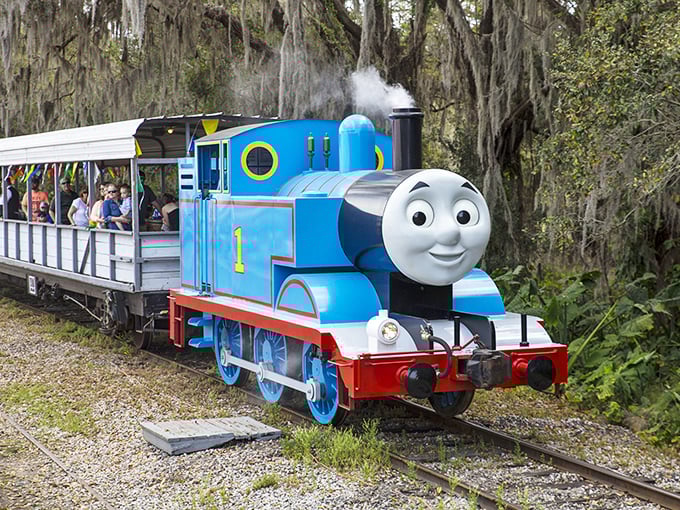 The bright blue Thomas the Tank Engine brings storybooks to life at the Florida Railroad Museum, delighting passengers of all ages.
