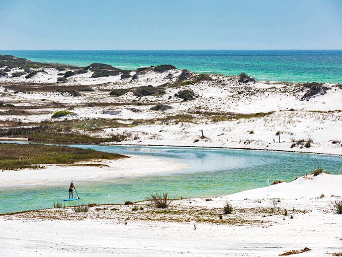 Grayton Beach's impossibly white sands meet emerald waters, creating a shoreline that looks photoshopped but is 100% natural Florida magic.