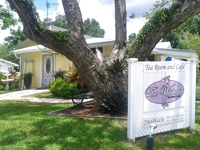The Wisteria Tea Room's sunny yellow exterior peeks through lush greenery, promising a garden party vibe inside.