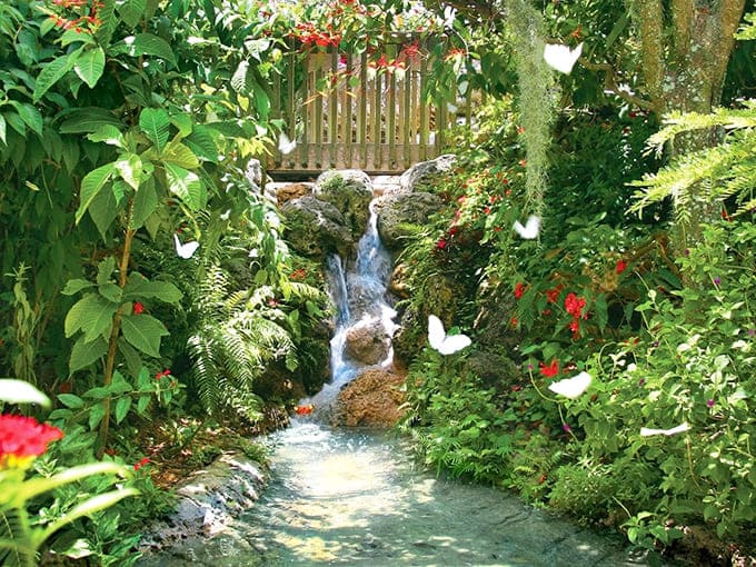 White butterflies dance past a trickling waterfall, creating a scene straight out of a storybook garden fantasy.
