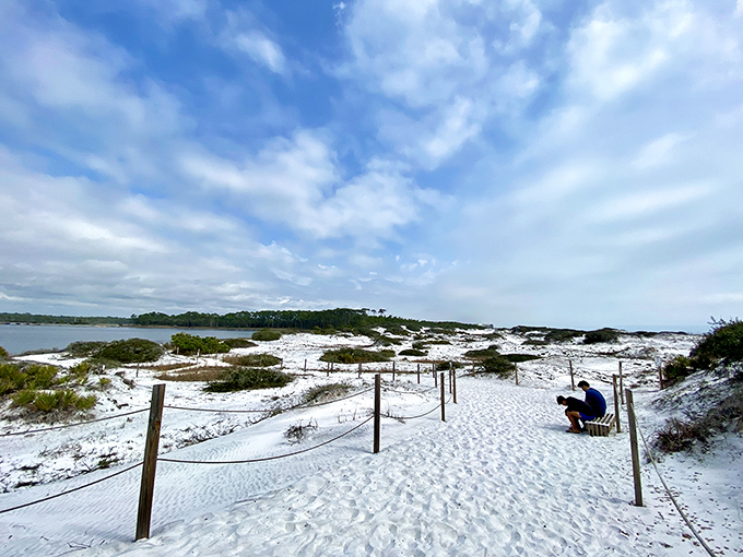 Coastal dune lakes at Grayton Beach create a rare ecosystem where freshwater and saltwater dance together in surreal harmony.