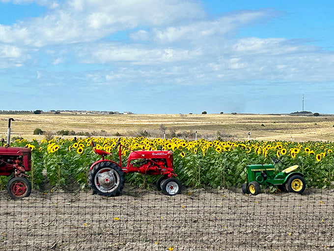 1b. southern hill farms (clermont)