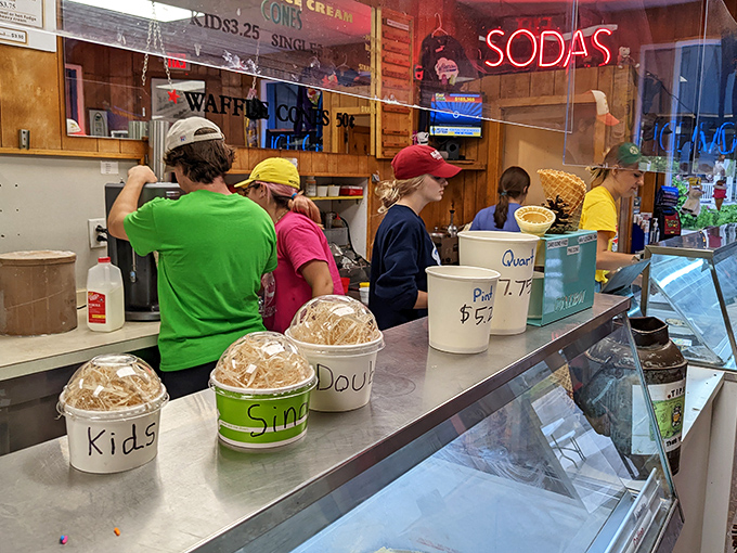 The classic ice cream shop experience lives on at Washtenaw Dairy, where customers line up at the counter to choose from simple cups marked "Kids," "Single," and "Double."