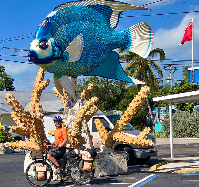 Cyclists pause for a moment with aquatic royalty, proving even the most determined travelers can't resist this colorful roadside charm.