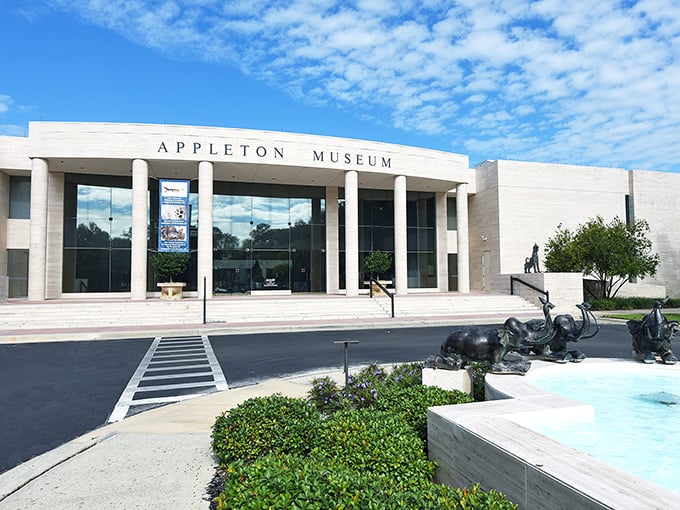 The Appleton Museum's striking modernist facade houses art collections that would make big-city museums jealous &ndash; an unexpected cultural oasis.