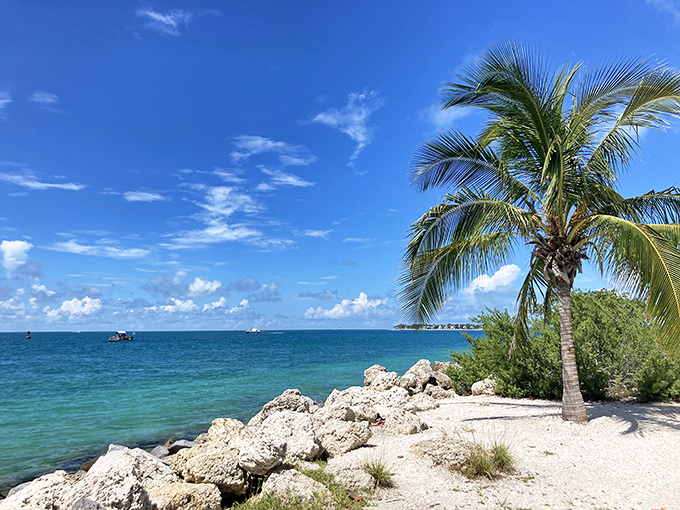 Beach: Where coral-kissed shores meet crystal waters, creating nature's perfect remedy for whatever ails your mainland soul.