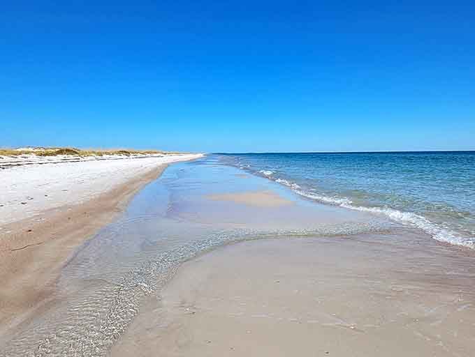 This is what nine miles of unspoiled Gulf Coast shoreline looks like when developers aren't invited to the party, and honestly, they weren't missed.