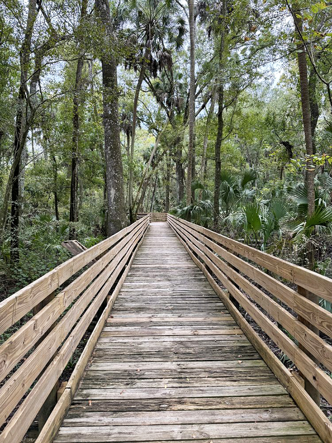 This boardwalk doesn't lead to shopping &ndash; it leads to something better: a front-row seat to Florida's wild side.