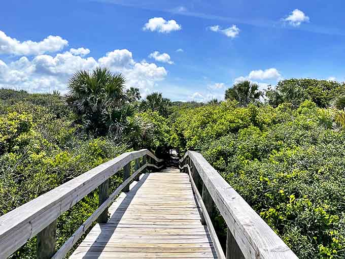 Nature's grand staircase &ndash; this wooden boardwalk invites visitors to wander through lush coastal vegetation toward adventures unknown.