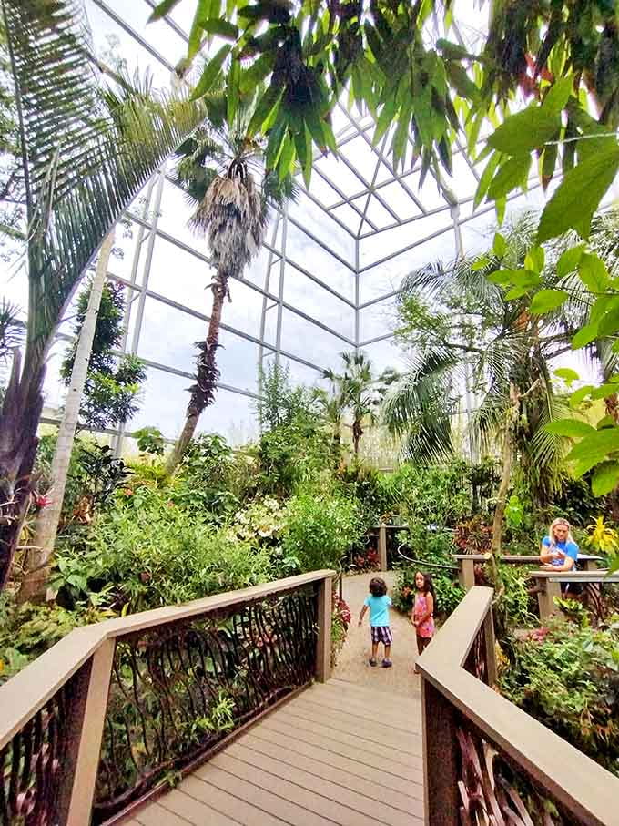 Soaring glass ceilings and winding pathways transform this space into an indoor jungle where butterflies rule and humidity reigns supreme.