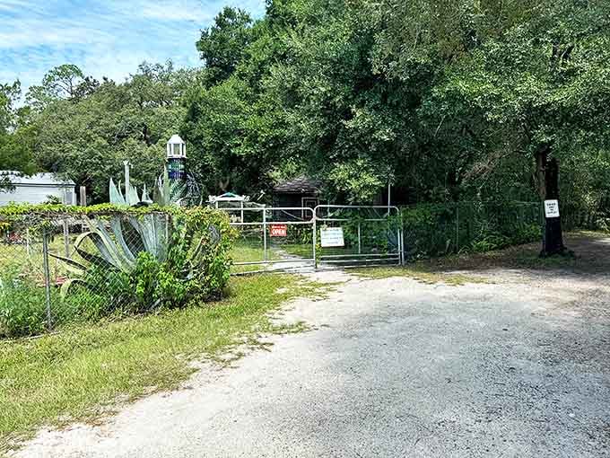 The entrance gate stands like a portal between ordinary life and a world where empty bottles become architectural marvels.