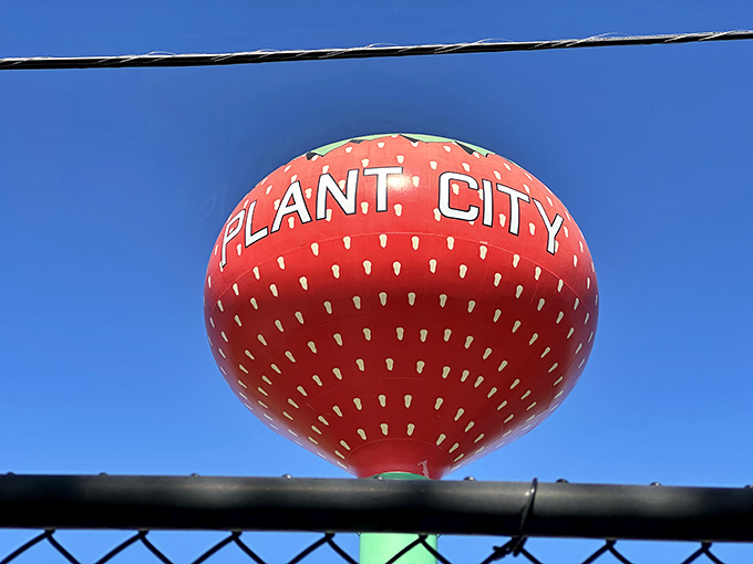 Up close, the tower's detailed "seeds" and vibrant red paint job make this possibly the world's most appetizing water storage solution.
