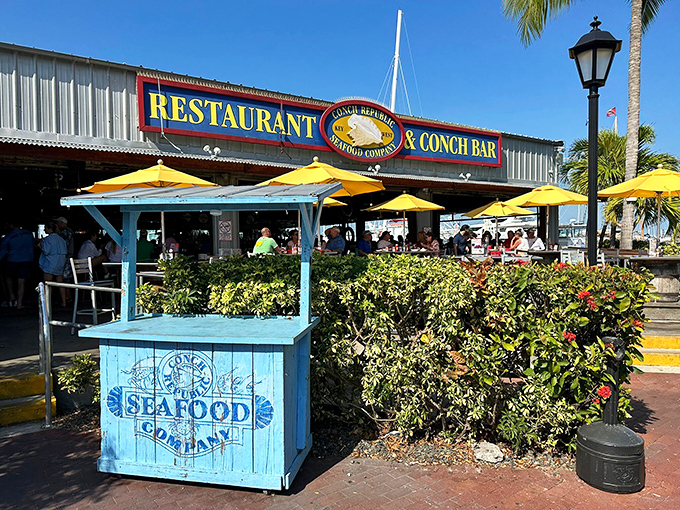 Conch Republic Seafood Company serves up ocean-fresh delights with harbor views &ndash; just watch the pelicans eyeing your plate from nearby posts!