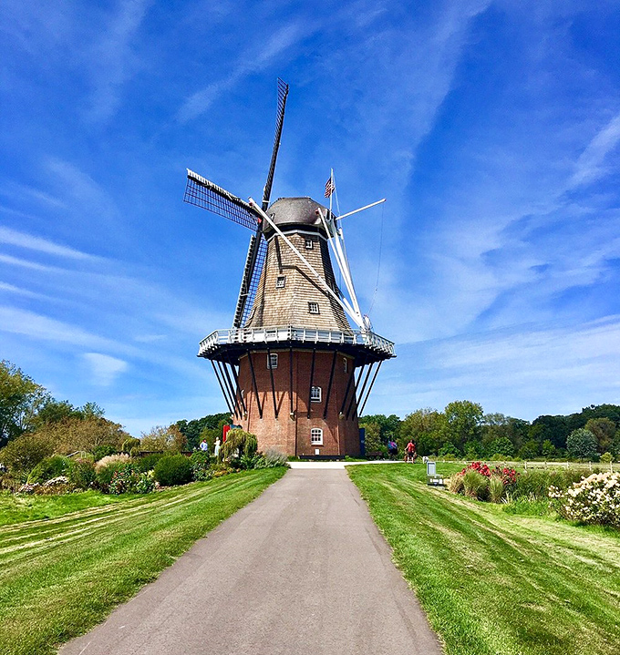 De Zwaan windmill: Standing proudly against the azure sky, this 250-year-old Dutch transplant still grinds grain the old-fashioned way.