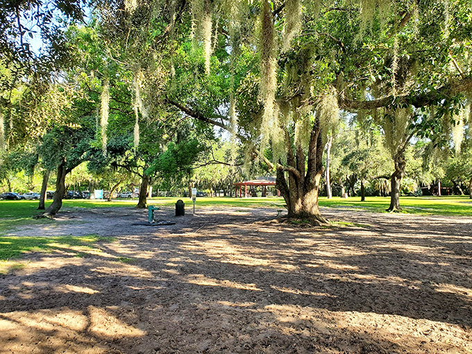 Ancient oaks draped with Spanish moss create natural canopies where humans rest while furry friends plot their next adventure.