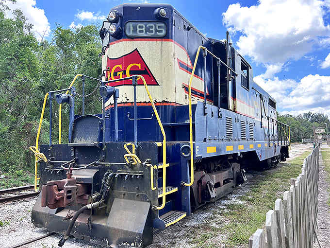 EMD GP7 diesel locomotive: This vintage workhorse, with its classic blue, red, and cream livery, stands ready to rumble down the tracks like a mechanical time machine.