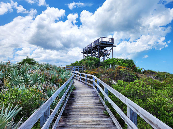 Nature's stairway to heaven! This weathered boardwalk leads to one of Florida's best-kept secrets&mdash;a panoramic view that'll make your Instagram followers genuinely jealous.