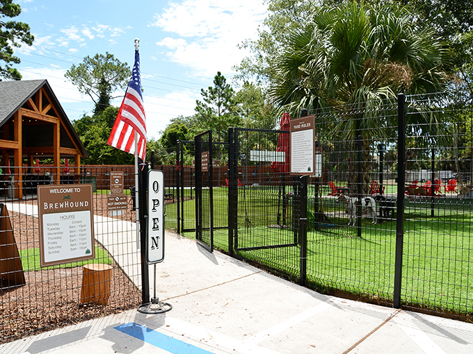 The welcoming entrance to BrewHound, where an American flag waves proudly alongside clear signage inviting both two and four-legged guests.