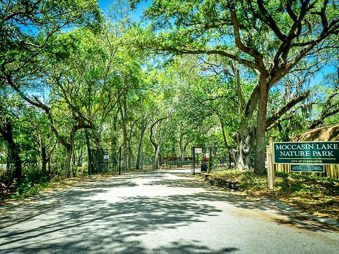 That moment when you realize you've been driving past this entrance for years, missing out on pure natural magic.