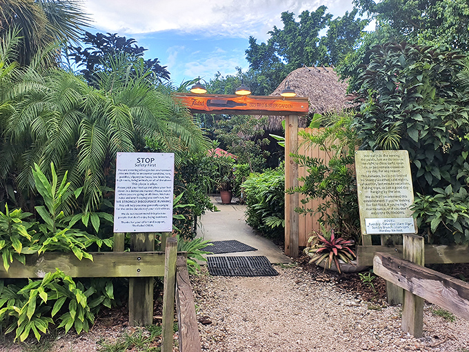 Faded Bistro & Beer Garden: Step through this tropical gateway into a hidden paradise where craft beers flow and conversation blooms like the surrounding foliage.