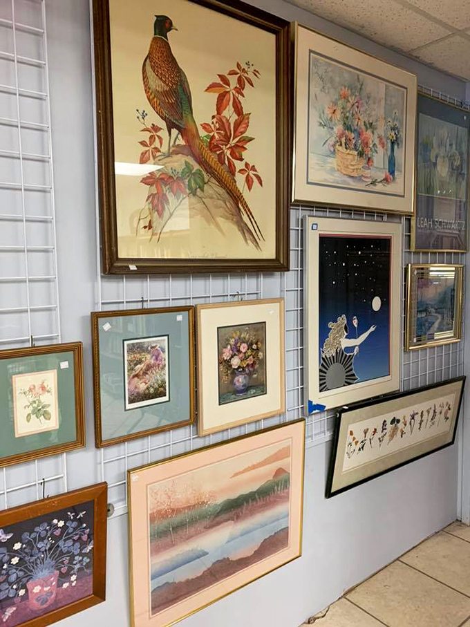 Wall art galore! From majestic pheasants to delicate florals, these framed treasures await homes where they'll be conversation starters once again.