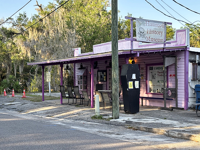 From the street, this vibrant pink building with purple trim practically dares you to come closer and discover what oddities await inside.