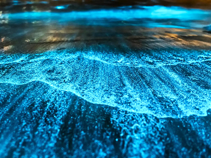 Up close with the magic &ndash; each ripple creates a burst of blue brilliance that makes you wonder if someone's hiding underwater with glow sticks.