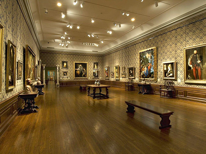 Gallery walls dressed better than most of us, showcasing masterpieces that survived centuries just to impress you today.