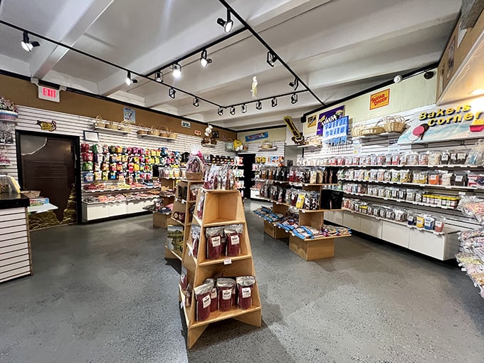 Inside this sweet sanctuary, aisles of colorful confections stretch as far as the eye can see, tempting even the strongest willpower.