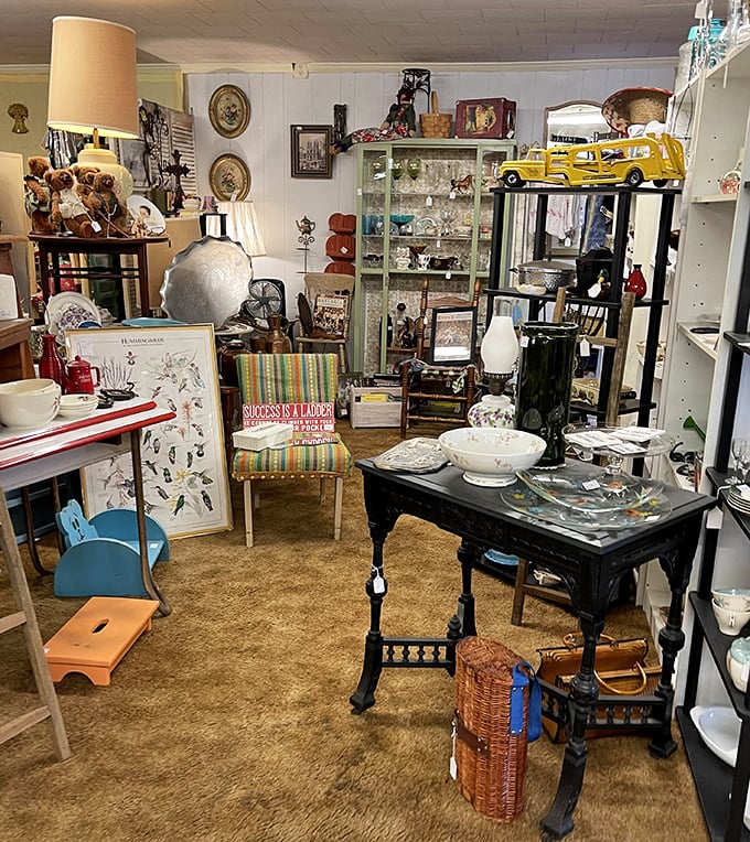 Step into this time capsule where every shelf tells a story and each corner reveals another decade's worth of American nostalgia.