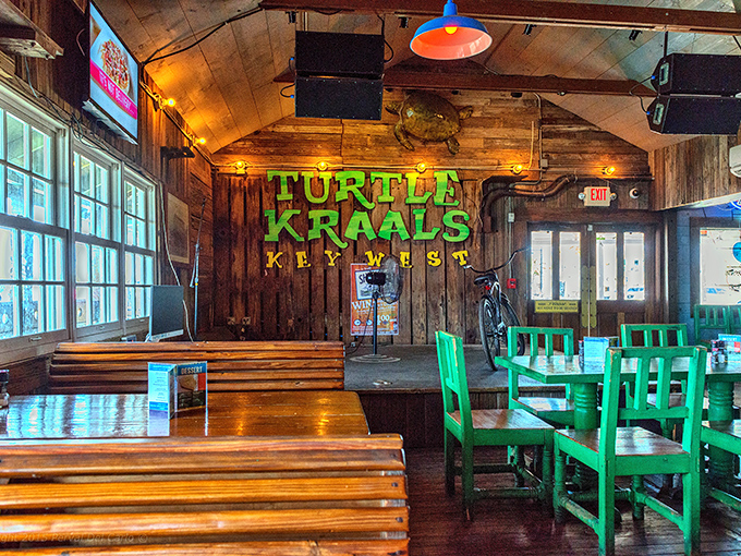 Rustic wooden interiors create that perfect "old Florida" atmosphere, where bright green chairs pop against weathered planks and nautical charm.