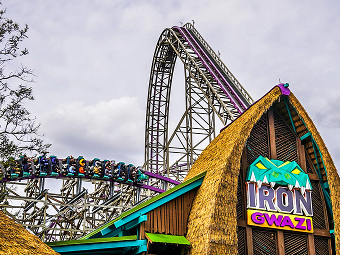 Iron Gwazi stands like a wooden and steel monument to human courage&mdash;or questionable judgment, depending on your perspective.