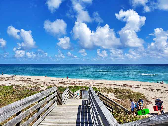 Wooden pathways to wilderness: This boardwalk meanders through ancient cypress forests, offering dry passage while nature does its soggy thing all around.