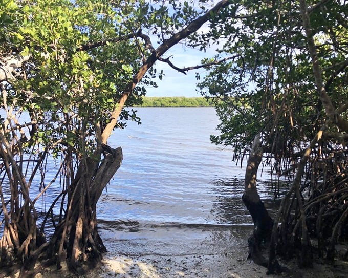 Kayak Launch: The gateway to aquatic adventures, where weekend warriors transform into explorers and office stress dissolves with each paddle stroke.