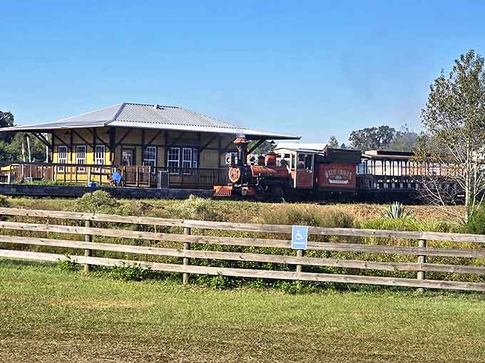 The steam train awaits passengers at the charming station, where modern worries evaporate like the steam from its iconic stack.