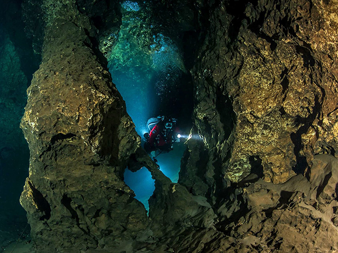 Crystal-clear waters reveal an underwater paradise where adventure seekers can explore Florida's hidden aquatic treasures.