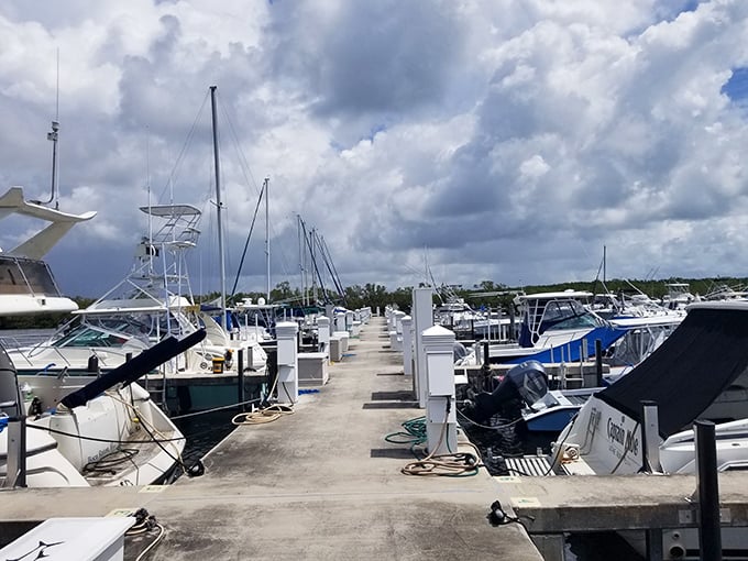 Boats line the marina docks like eager thoroughbreds waiting for their chance to gallop across Biscayne Bay's azure waters.
