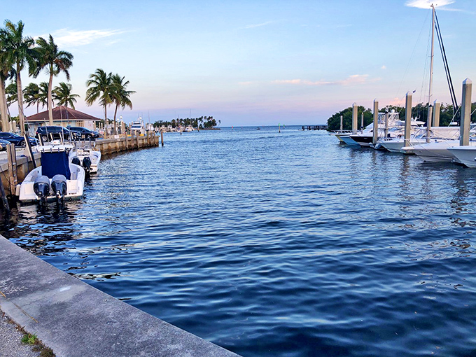 Sailboats bob gently in their slips as the marina comes alive with stories of adventures on Biscayne Bay.