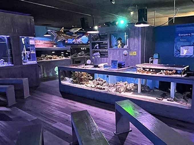 Step into this nautical wonderland where dimmed lights and wooden displays create an atmosphere that's part shipwreck, part marine laboratory.