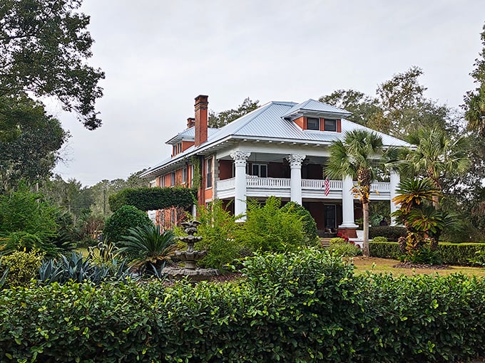 The Micanopy Historic District showcases stunning Southern architecture, where grand columns and wraparound porches whisper stories of bygone elegance.