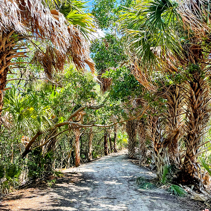 Palm fronds create nature's cathedral ceiling along this trail&mdash;no architect could design a more perfect canopy.