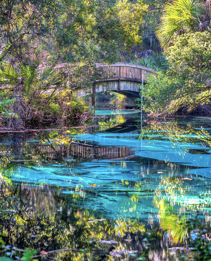 Nature's paradise unfolds in layers of green and blue, where sunlight filters through the canopy to illuminate underwater worlds most people never see.