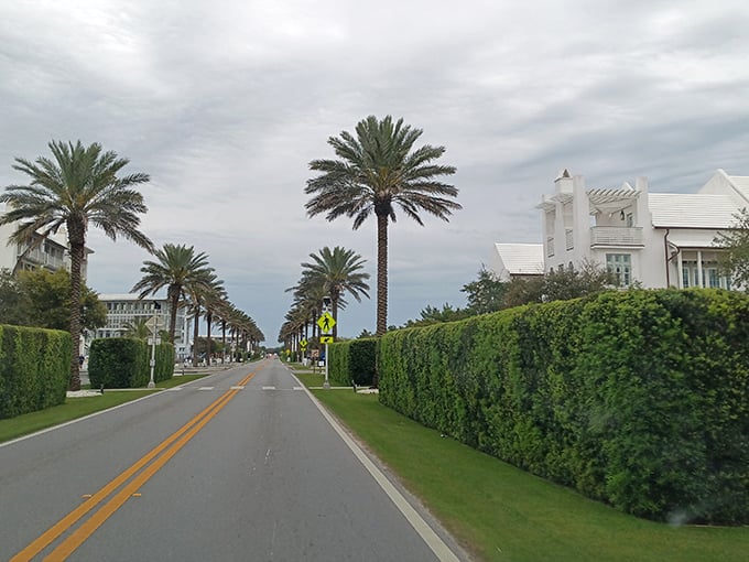 Palm-lined perfection: where every street looks like it's waiting for a magazine photoshoot.