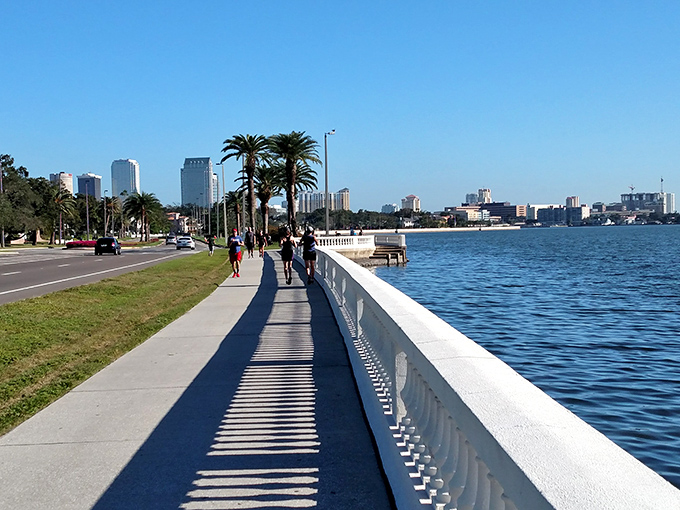 Morning joggers create a rhythm along Bayshore's famous sidewalk, where fitness enthusiasts and casual strollers share Tampa's premier waterfront real estate.