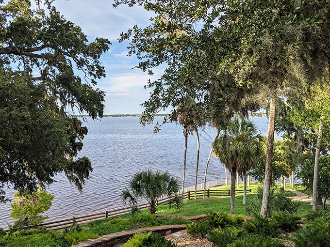 Nature's perfect frame at Philippe Park, where Tampa Bay waters meet ancient oaks. This view alone is worth the trip to Safety Harbor.