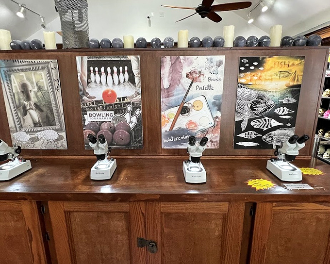 Colorful posters provide context for the microscopic wonders below, serving as visual appetizers before the main course of miniature marvels.